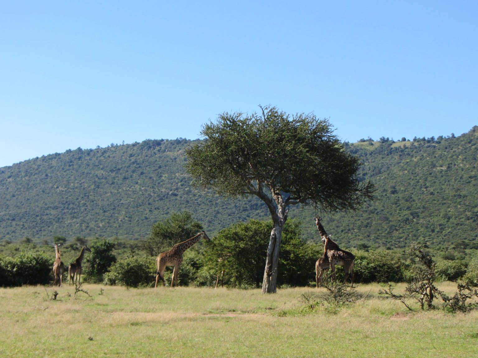 Sylff Official Website | Cultivating Leaders of Tomorrow